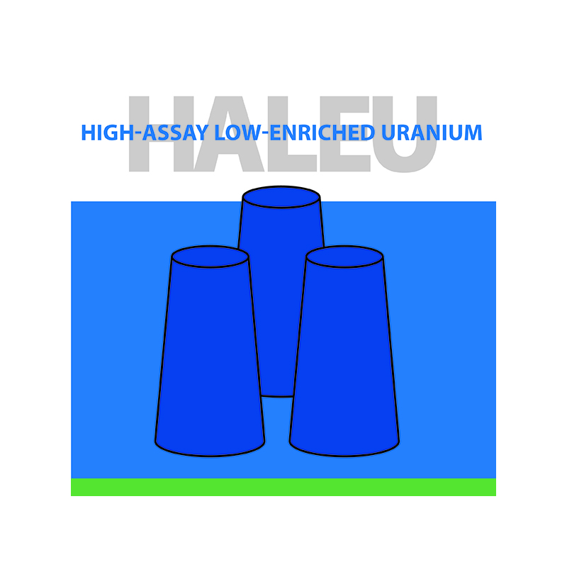INFOGRAPHIC: What is High-Assay Low-Enriched Uranium (HALEU ...