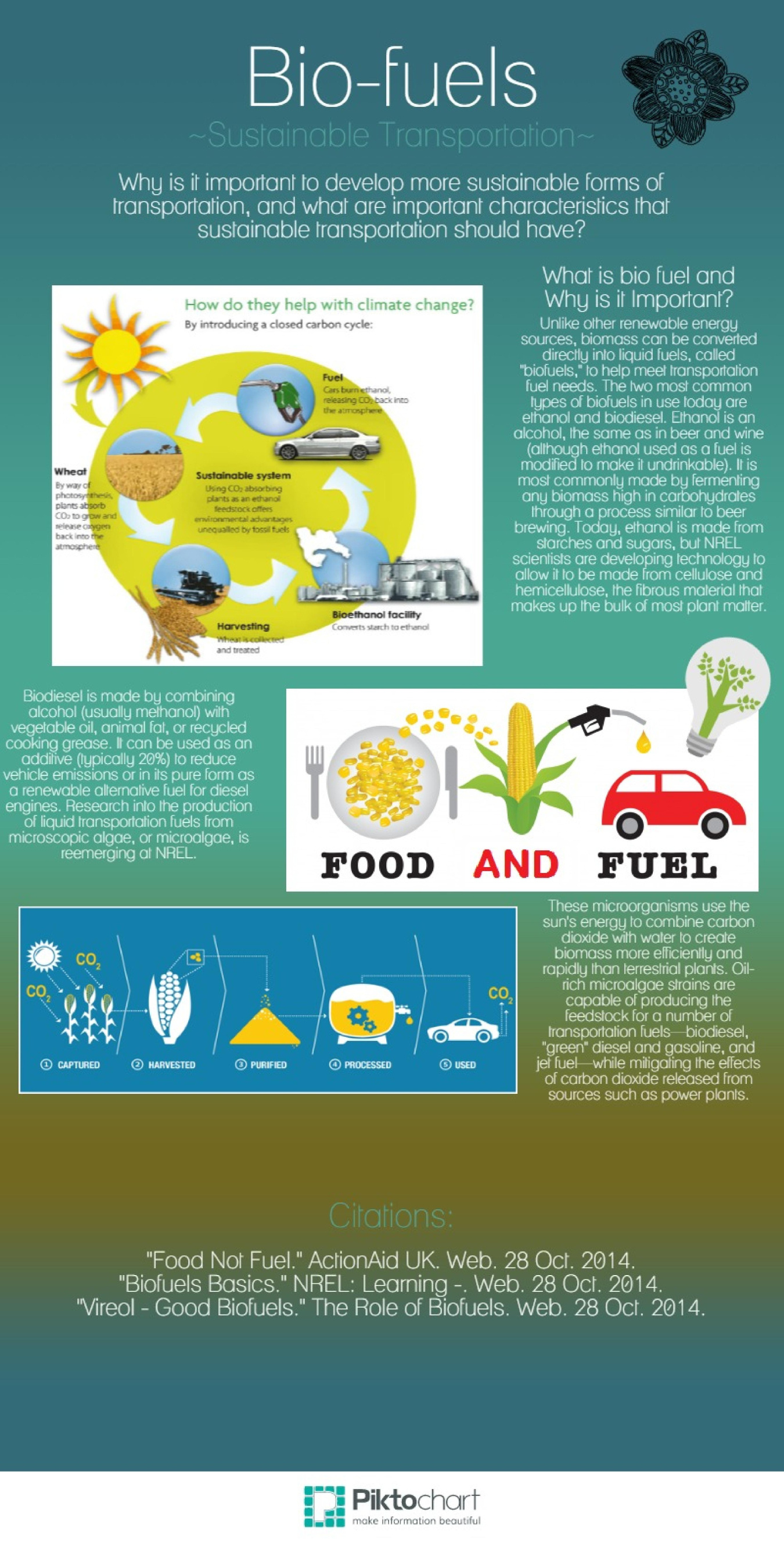 Biofuel Transportation