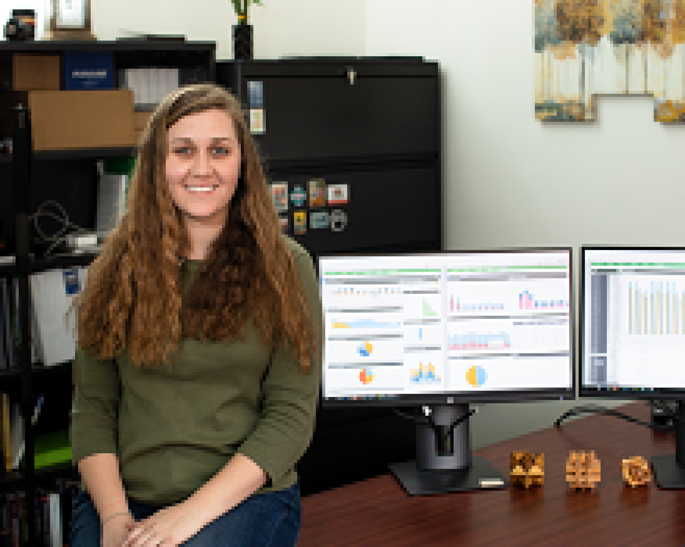 2020 U.S. Department of Energy Sustainability Award Winners ...