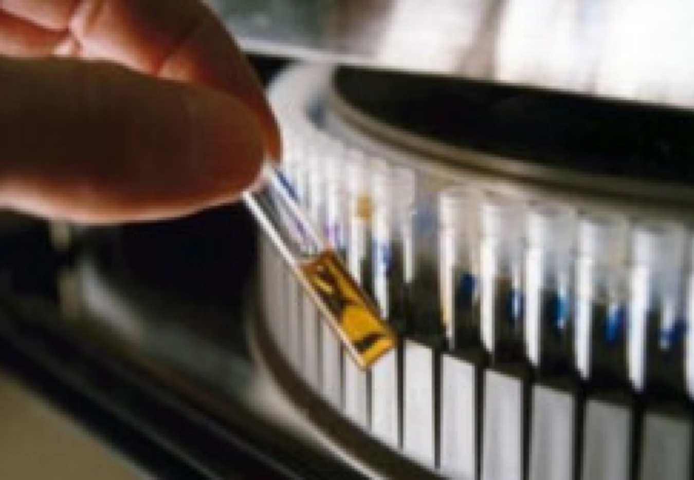 Feedstock-Conversion Interface | Department of Energy