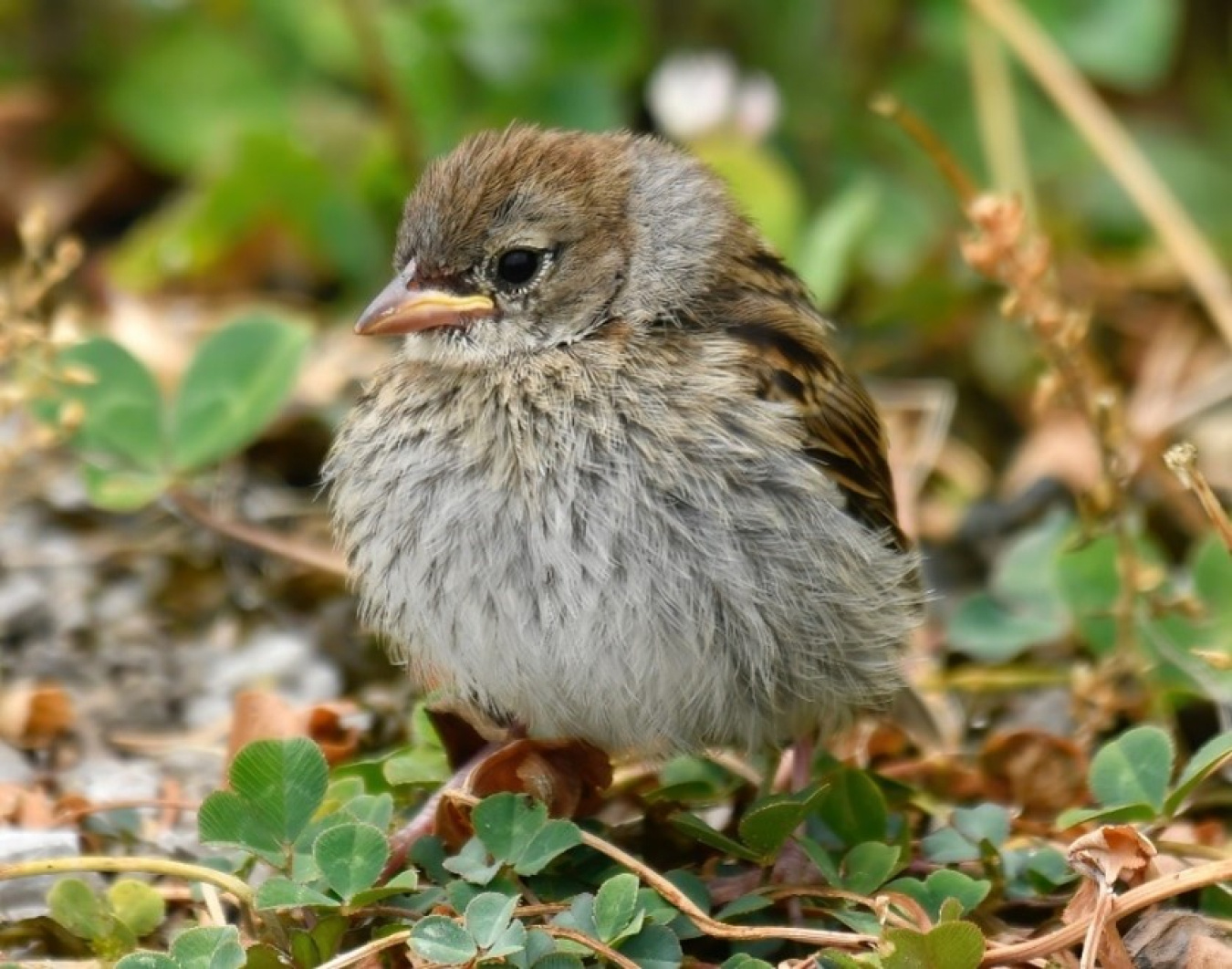 Adventure and Discovery Begins at LM's Interpretive Centers ...