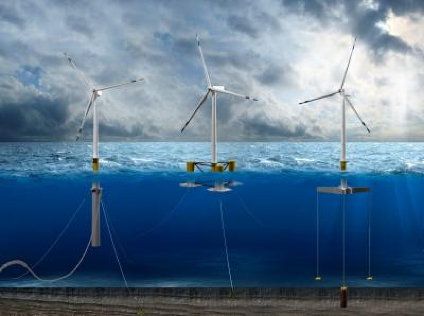 West Coast Offshore Wind Transmission Planning | Department of Energy West Coast Offshore Wind Transmission Planning | Department of Energy