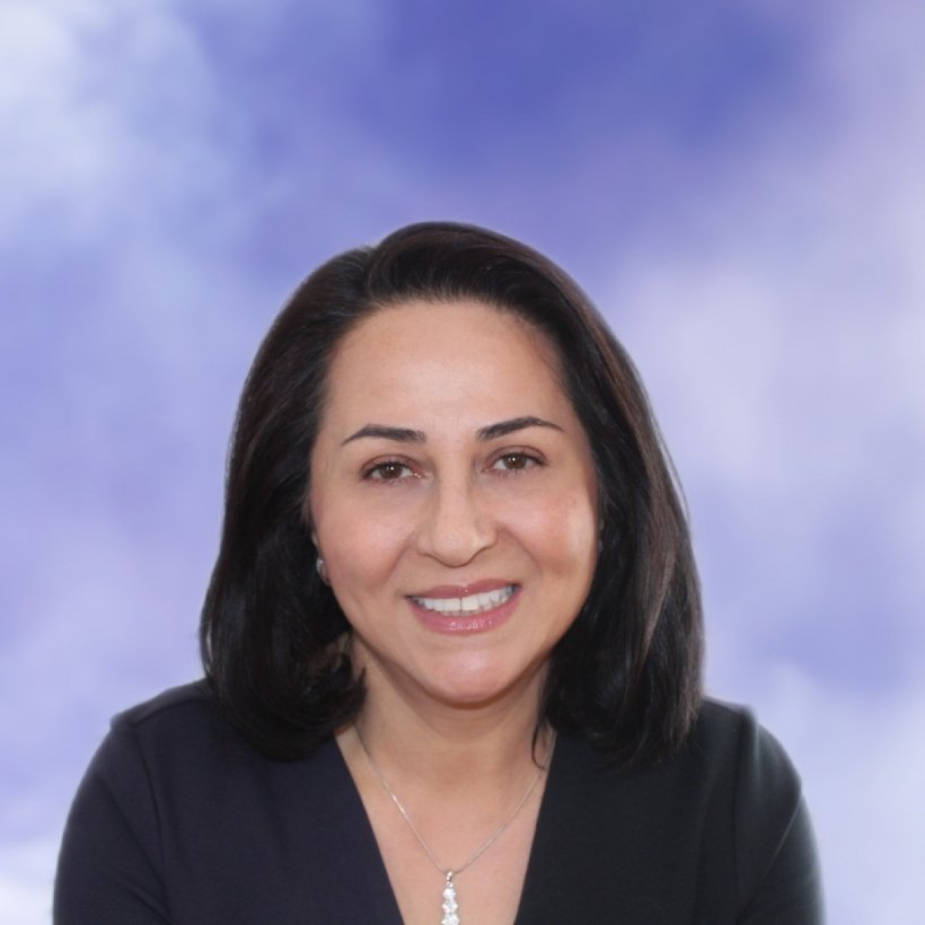 Reducing Carbon Emissions through U.S. Sustainable Aviation Fuels ...