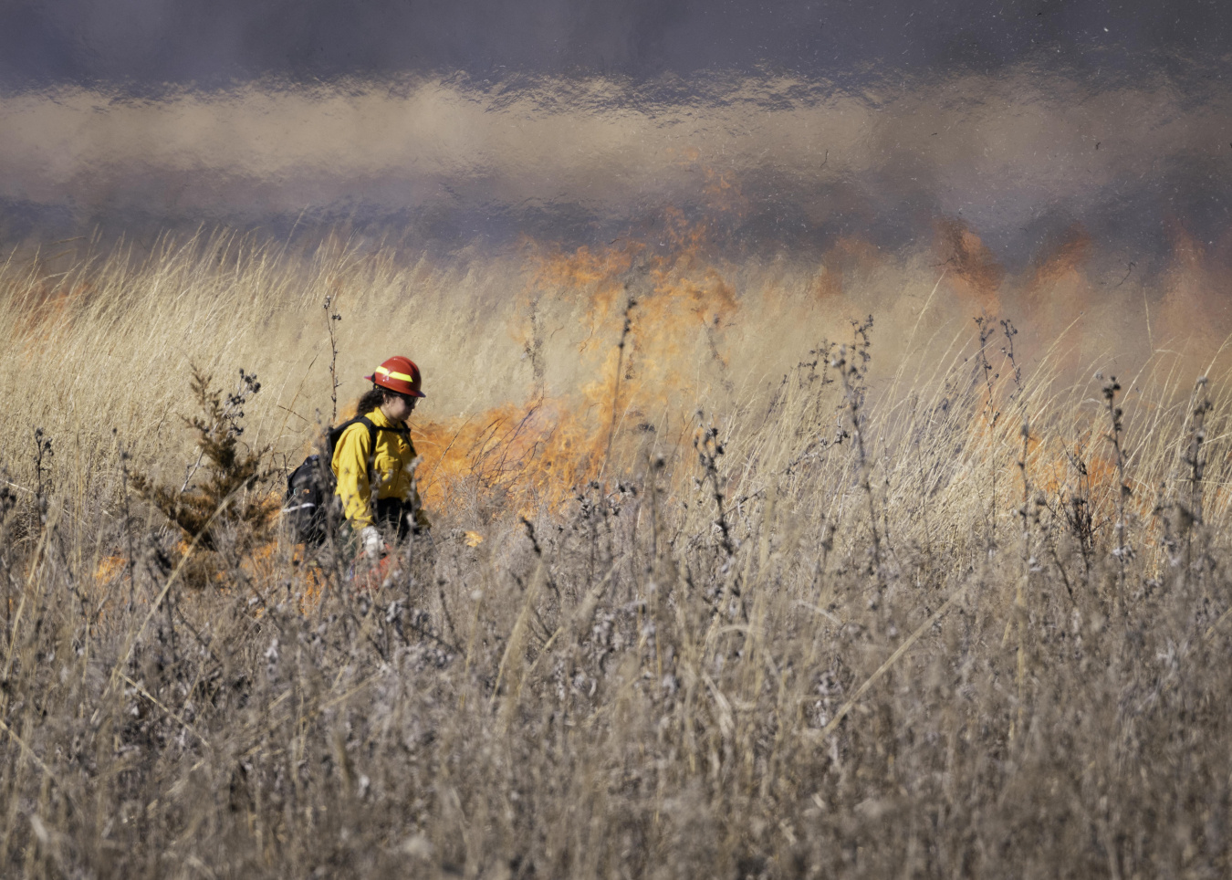 LM Teams Up With Other Agencies to Conduct Prescribed Burns at Two ...