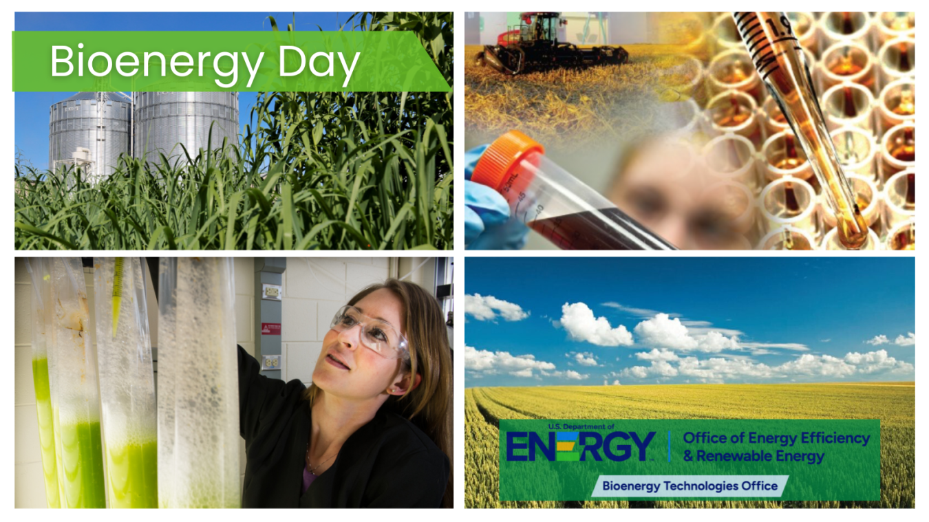 Bioenergy Day: Bioenergy 101 | Department of Energy