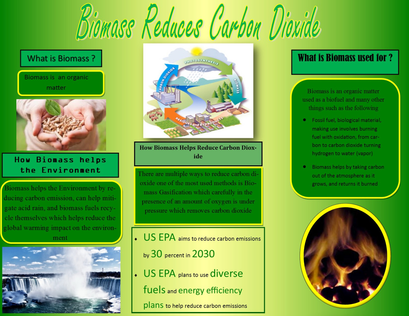 BIOENERGIZEME INFOGRAPHIC CHALLENGE: Biomass Reduces Carbon Dioxide ...