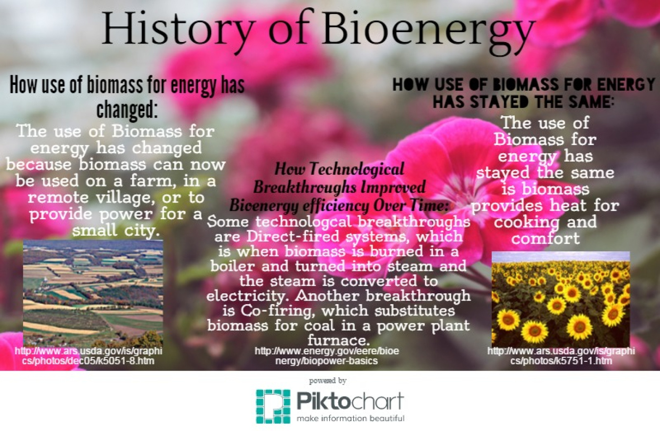 BIOENERGIZEME INFOGRAPHIC CHALLENGE: History of Bioenergy | Department ...