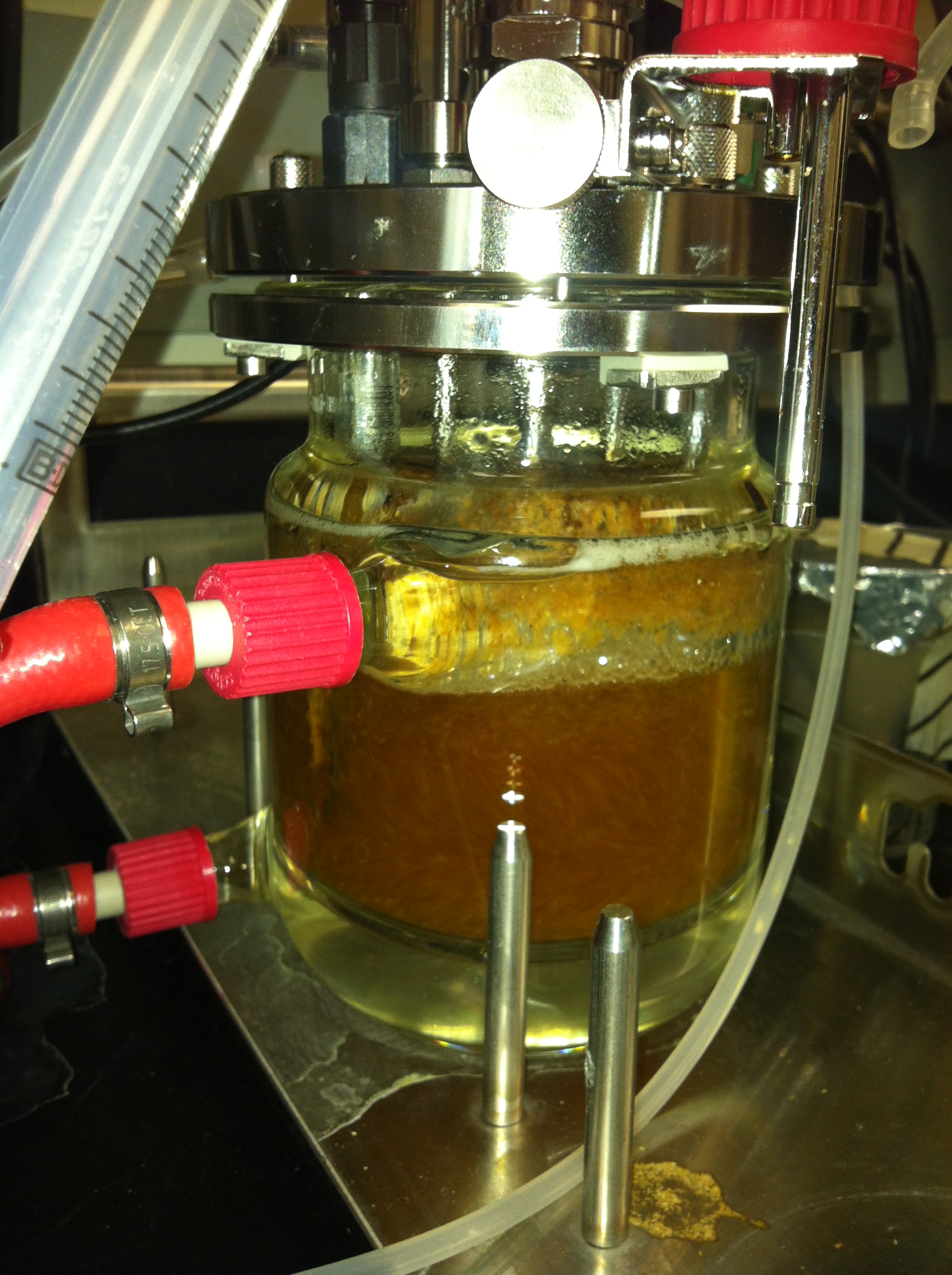 Hydrogen Production: Microbial Biomass Conversion | Department of Energy