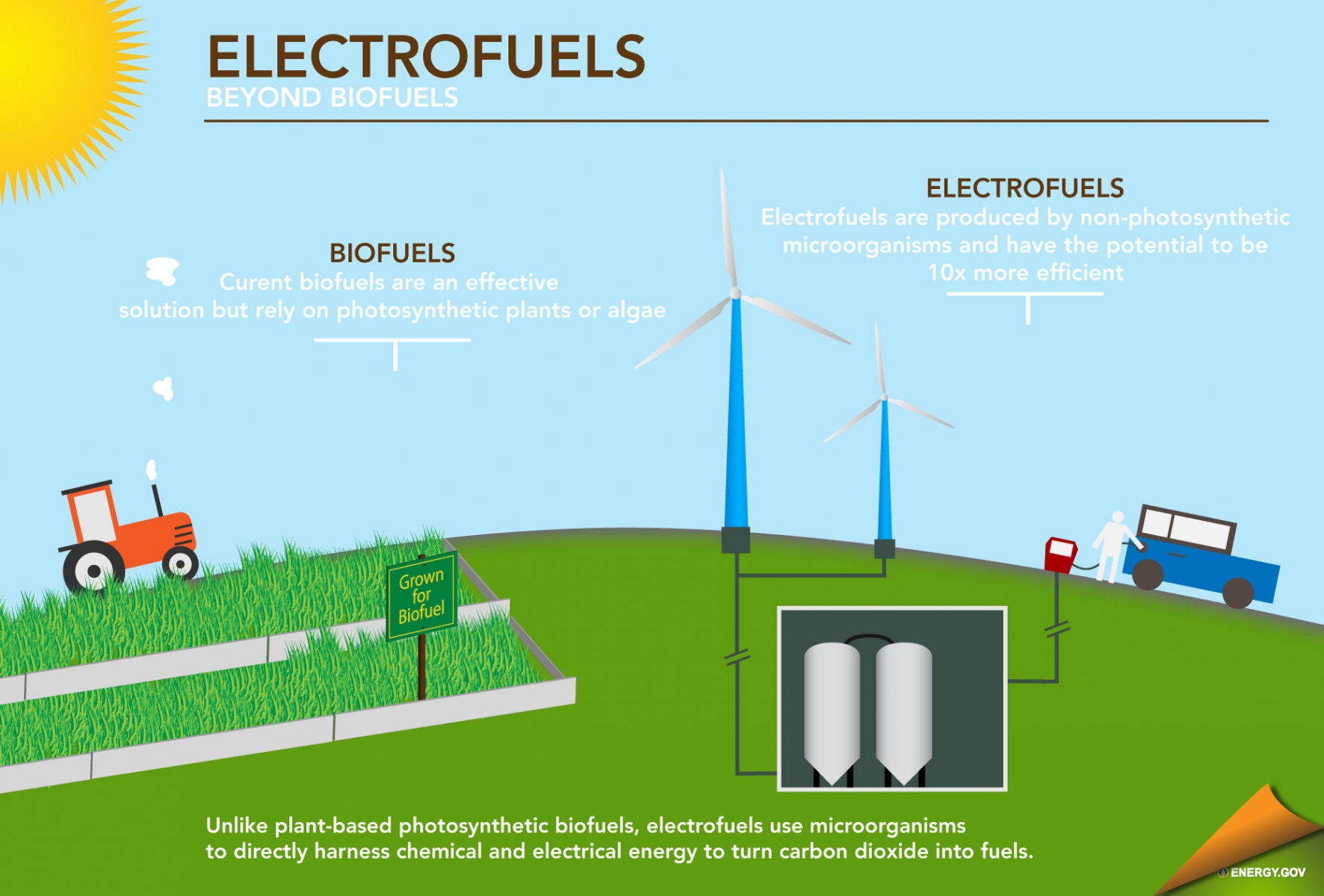 Electrofuels: Tiny Organisms Making a Big Impact | Department of Energy