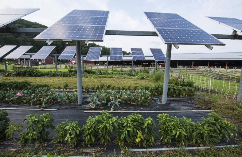 Solar for Farmers Photo Gallery | Department of Energy