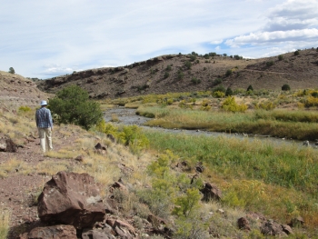 National Invasive Species Awareness Week Spotlight: LM Partnerships ...