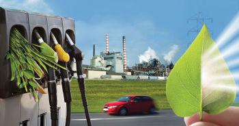 What Is Bioenergy | Biofuels