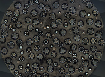 TRISO Particles: The Most Robust Nuclear Fuel on Earth | Department of ...