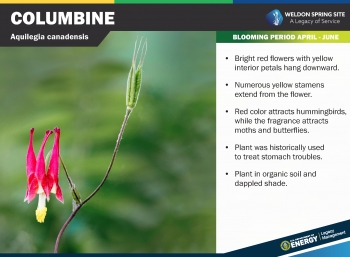 Explore the Weldon Spring Site Interpretive Center | Department of Energy