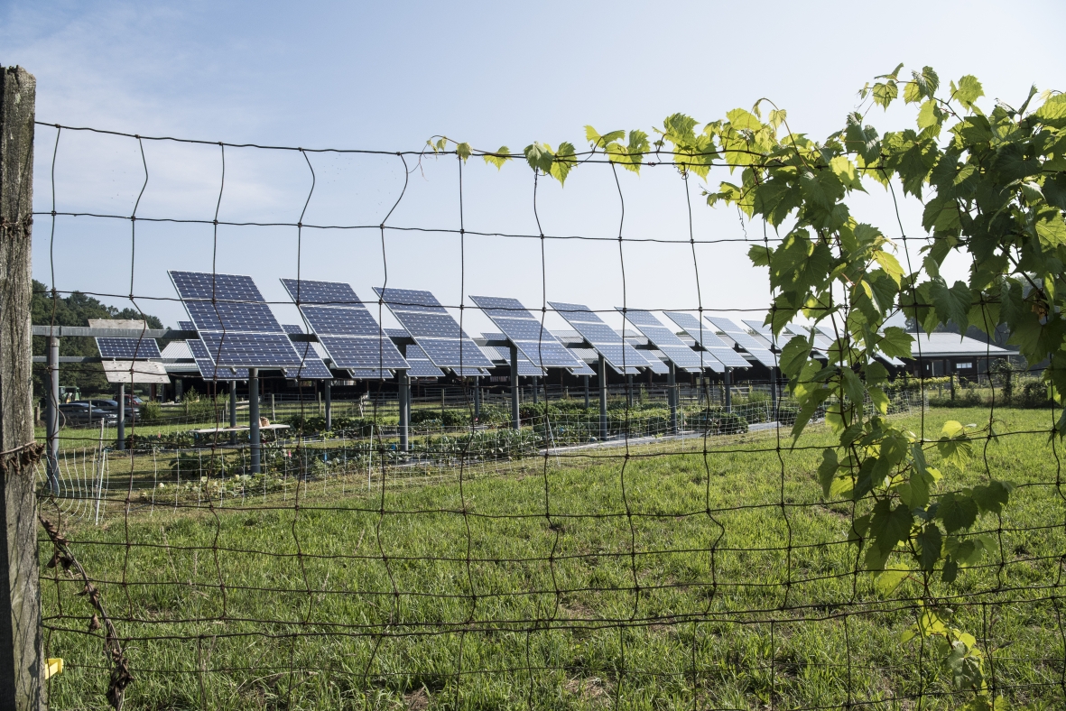 Solar for Farmers Photo Gallery | Department of Energy