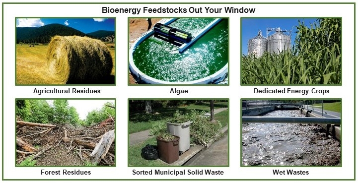Biomass Feedstocks | Department of Energy