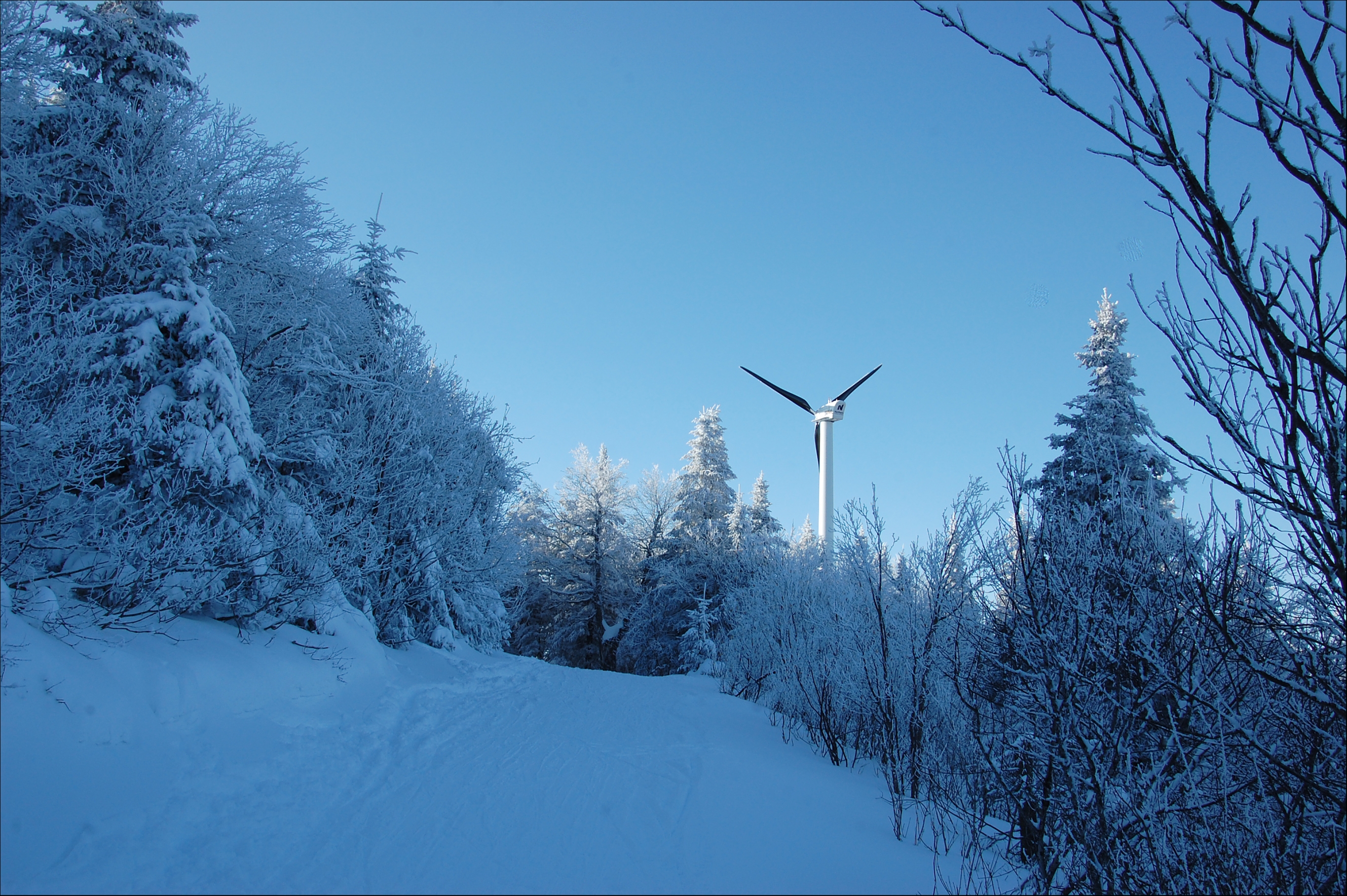 Top 10 Things You Didn’t Know About Distributed Wind Power - CleanTechnica