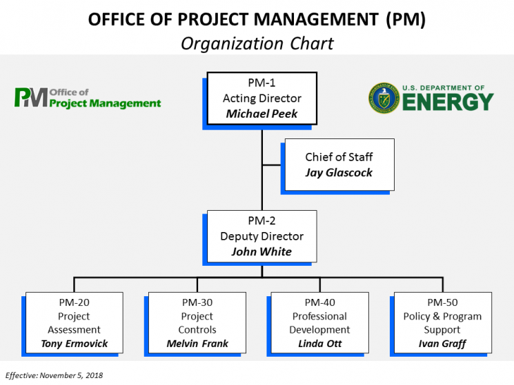 Program Management Org Structure