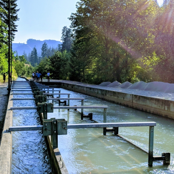 A New Way to Modernize Irrigation Infrastructure and Generate Renewable ...