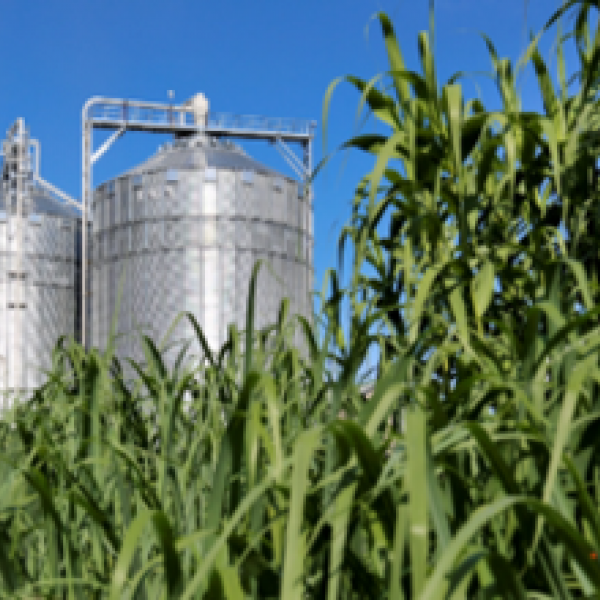 Bioenergy Basics | Department of Energy