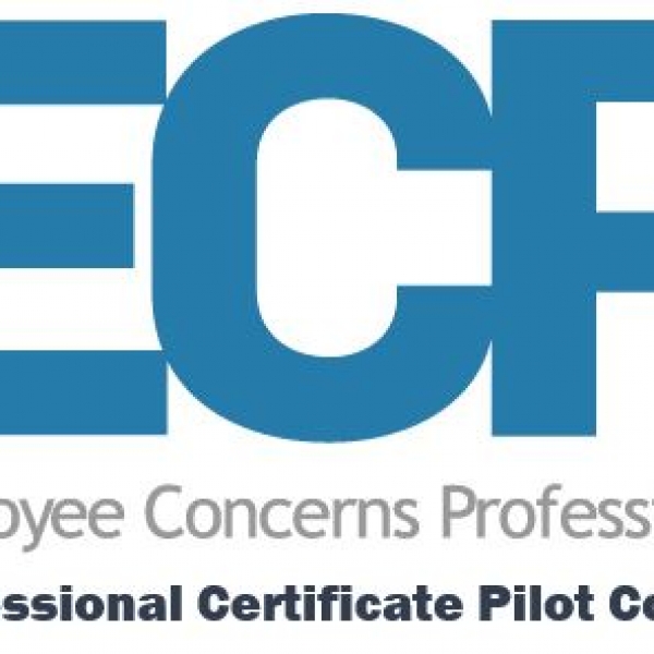 ECP Professional Certificate Pilot Course - October 19th - 20th, 2017 ...